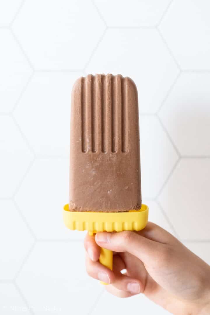 Healthy Sugar Free Fudgesicles (Dairy-Free & Vegan!) - Allergy Free Alaska